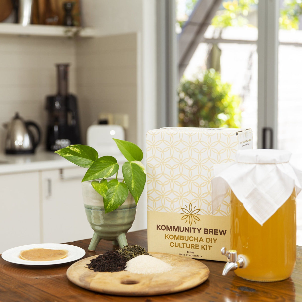 Top 8 Kombucha Brew Tips – Kommunity Brew