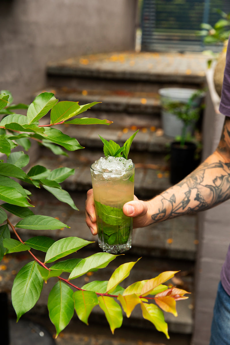 Kombucha Mocktail Recipe: The Kommunity Mule – Kommunity Brew